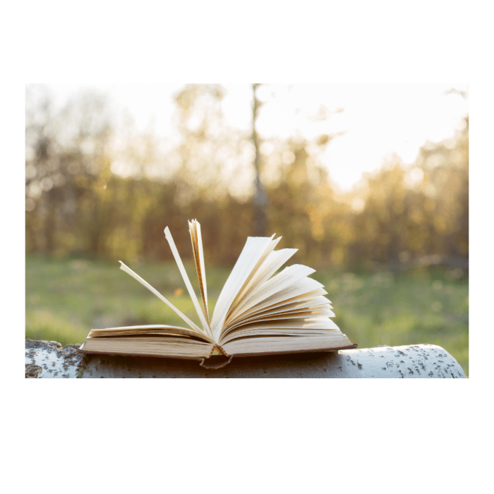 Book Care: 5 Ways To Keep Your Books In Good Condition – Biyai Garricks